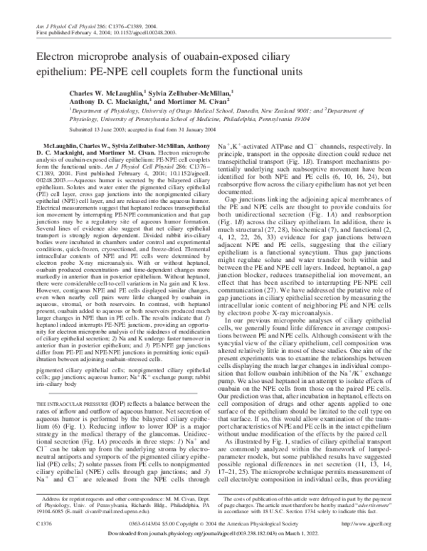 (PDF) Electron microprobe analysis of ouabain-exposed ciliary ...