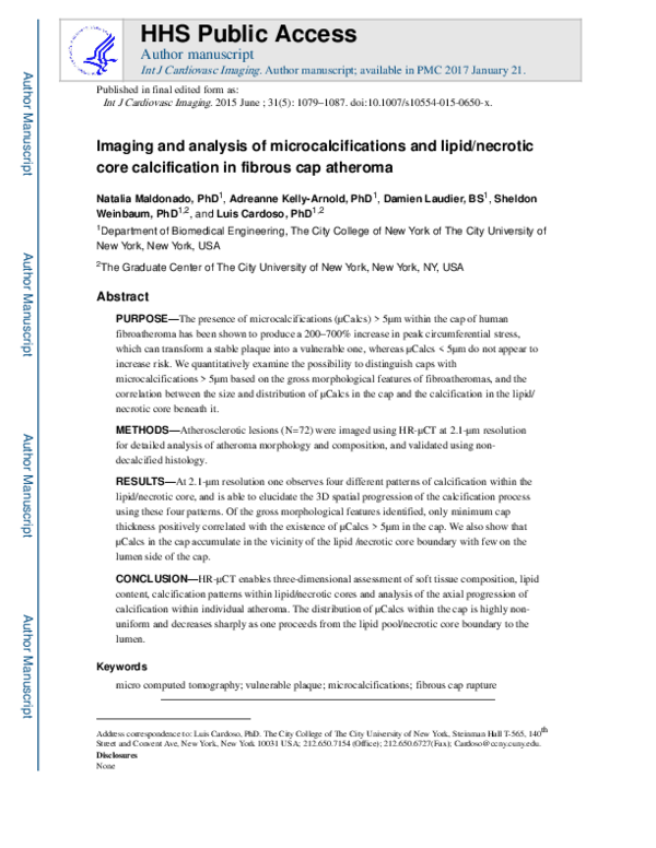 (PDF) Imaging and analysis of microcalcifications and lipid/necrotic ...