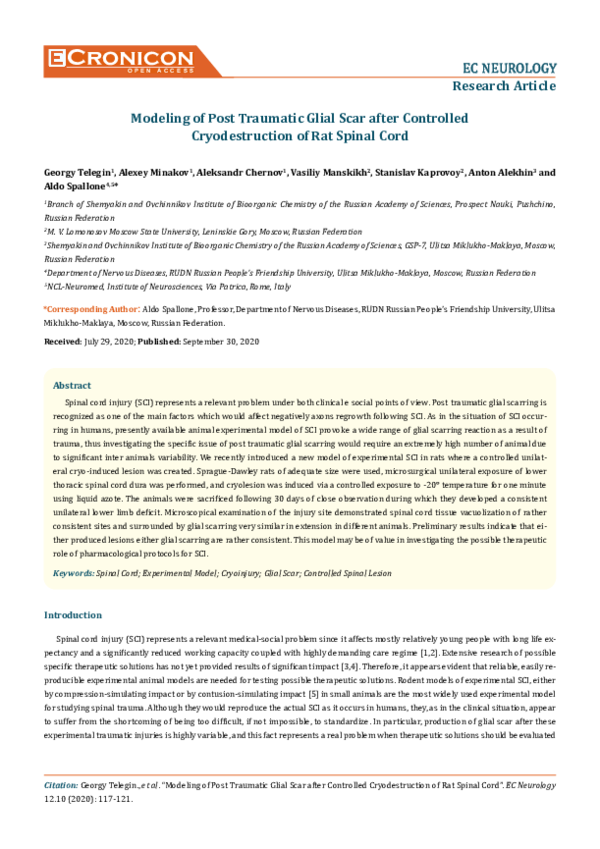 (PDF) Modeling of Post Traumatic Glial Scar after ...