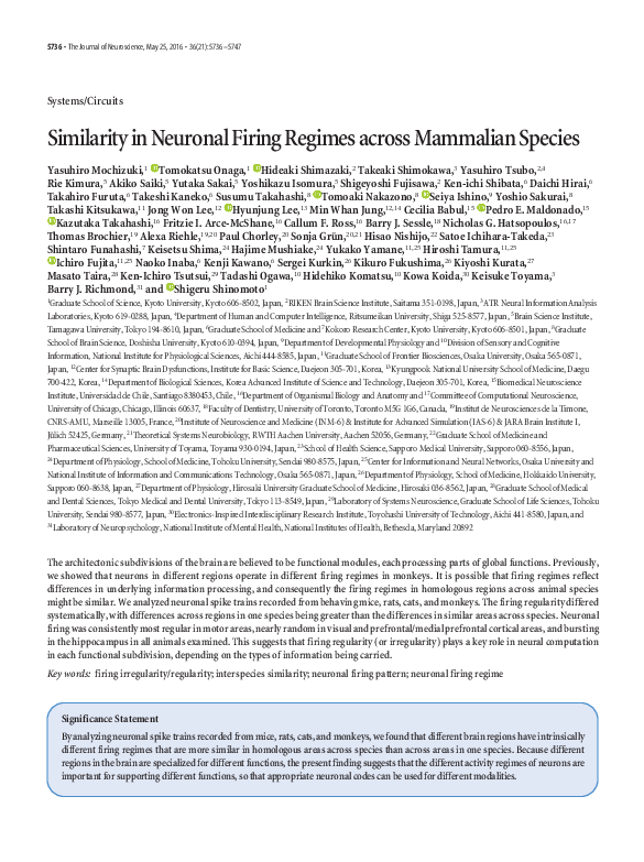 (PDF) Similarity in Neuronal Firing Regimes across Mammalian Species ...