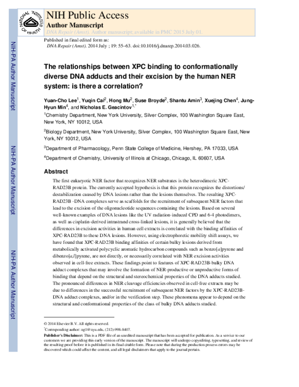 (PDF) The relationships between XPC binding to conformationally diverse ...