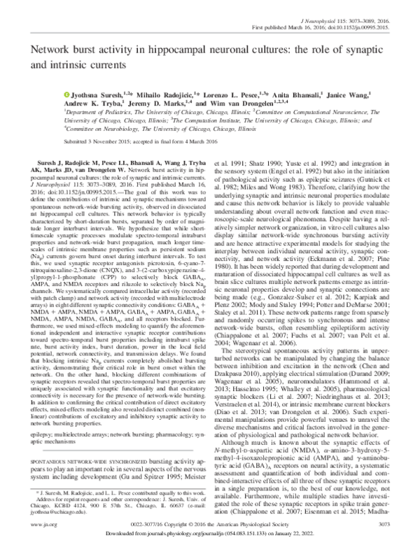 (PDF) Network burst activity in hippocampal neuronal cultures: the role ...
