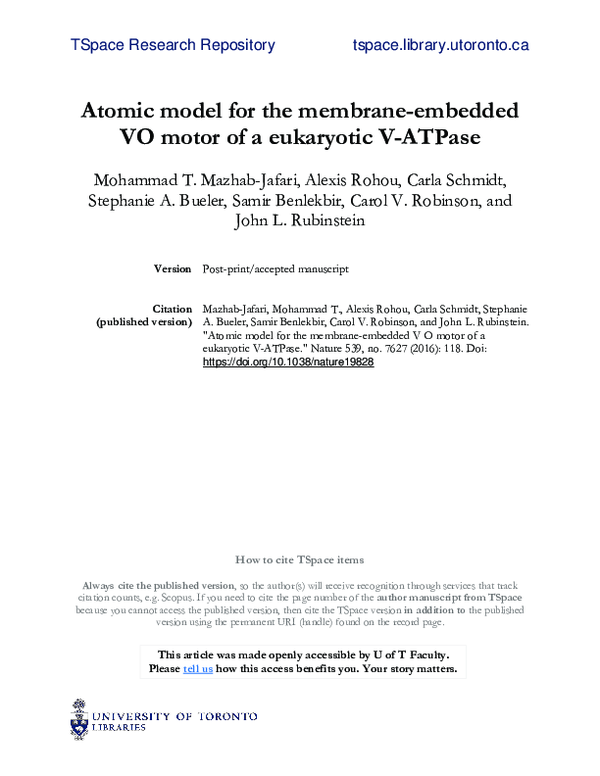 (PDF) Atomic model for the membrane-embedded VO motor of a eukaryotic V ...