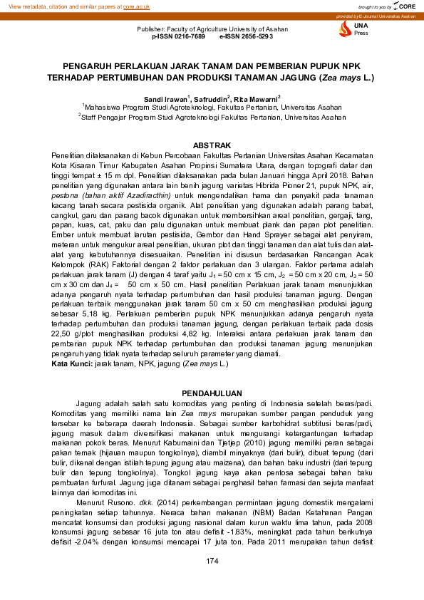 (PDF) PENGARUH PERLAKUAN JARAK TANAM DAN PEMBERIAN PUPUK ORGANIK CAIR (POC) BATANG PISANG ...