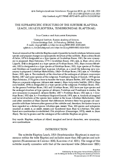 (PDF) The supraspecific structure of the subtribe Blaptina Leach, 1815 ...