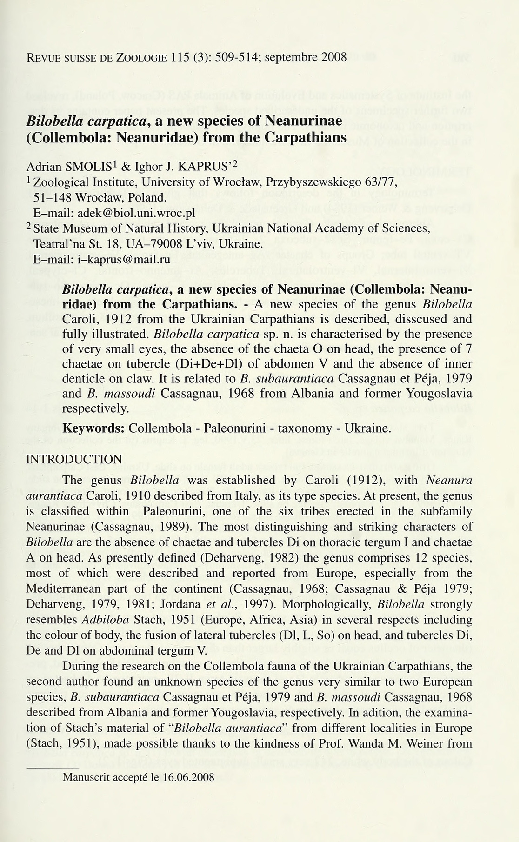 (PDF) Bilobella carpatica, a new species of Neanurinae (Collembola ...
