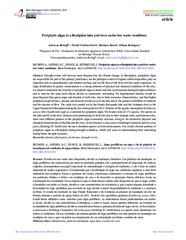 (PDF) Periphytic algae in a floodplain lake and river under low water ...