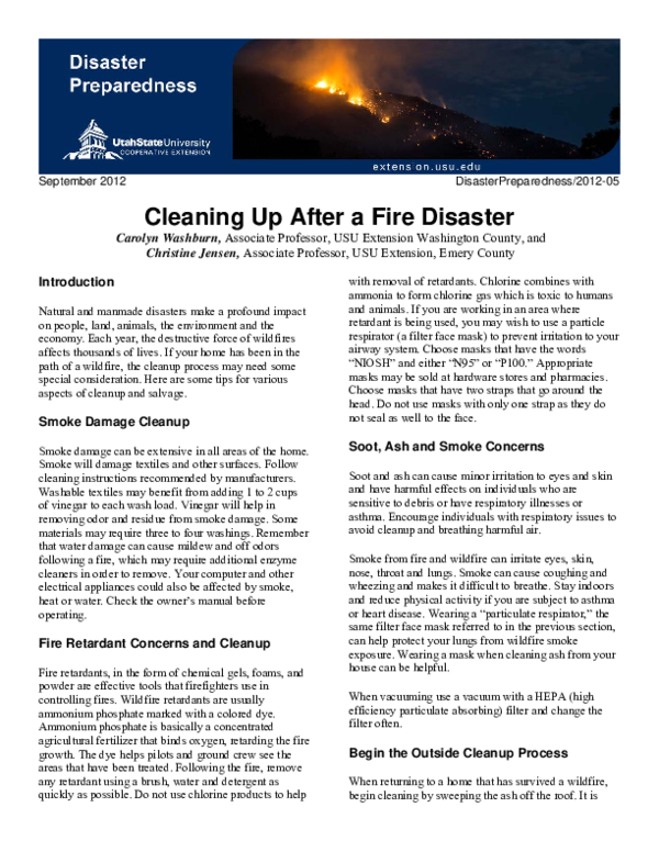 (PDF) Cleaning Up After a Fire Disaster