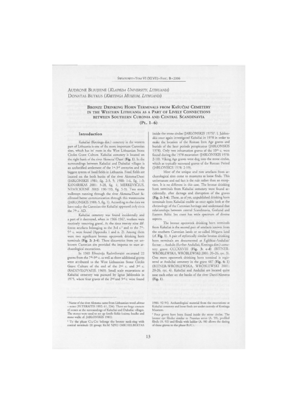 (PDF) Bronze Drinking Horn Terminals from Kašučiai Cemetery in the ...