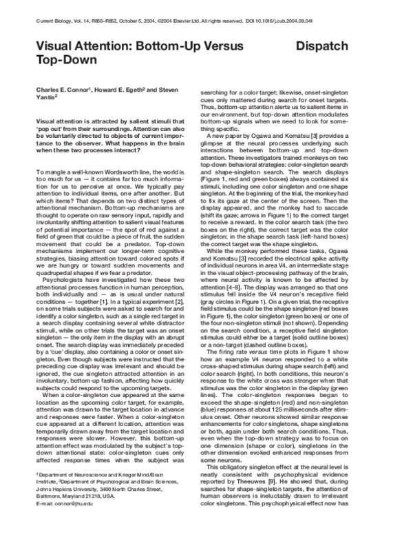 (PDF) Visual Attention: Bottom-Up Versus Top-Down