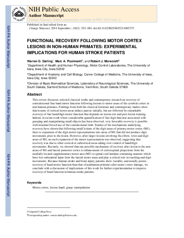 (PDF) Functional Recovery Following Motor Cortex Lesions in Non-Human ...