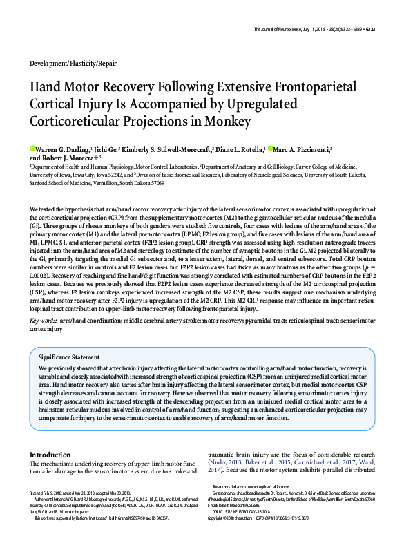 (PDF) Hand Motor Recovery Following Extensive Frontoparietal Cortical ...