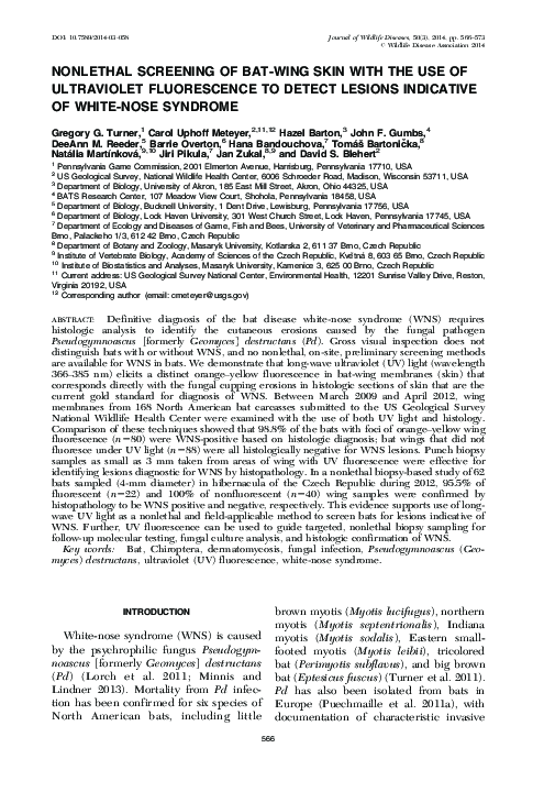 (PDF) Nonlethal Screening of Bat-Wing Skin with the Use of Ultraviolet ...