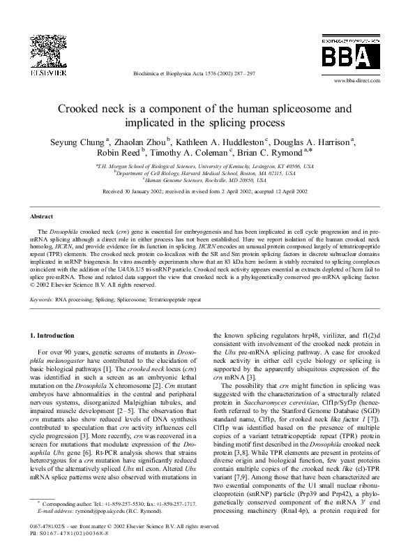 (PDF) Crooked neck is a component of the human spliceosome and ...