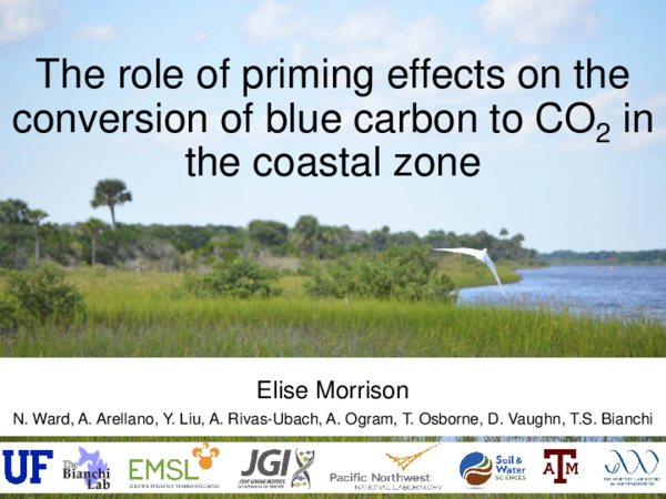 (PDF) The role of priming effects on the conversion of blue carbon to ...