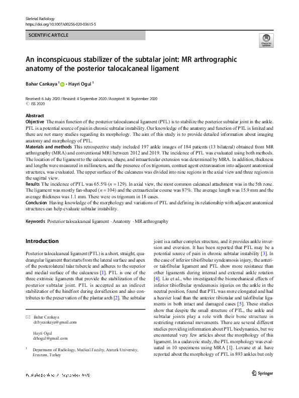 (PDF) An inconspicuous stabilizer of the subtalar joint: MR ...