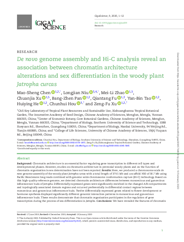 (PDF) Jatropha curcas micrografting modifies plant architecture and ...
