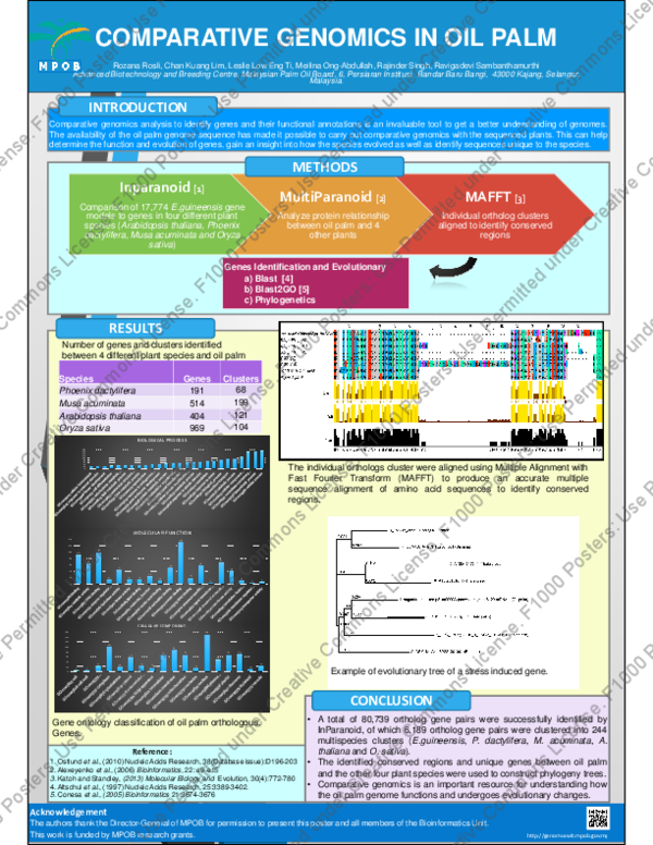 (PDF) Comparative genomics in oil palm