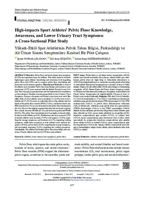 (PDF) High-impacts Sport Athletes' Pelvic Floor Knowledge, Awareness ...