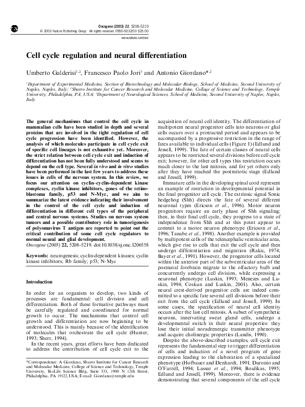 (PDF) Cell cycle regulation and neural differentiation