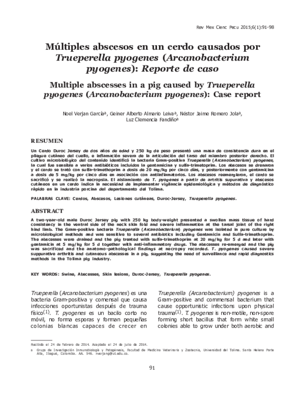(PDF) Múltiples abscesos en un cerdo causados por Trueperella pyogenes ...