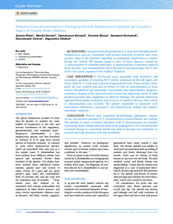 (PDF) Streptococcus pluranimalium: Emerging Animal Streptococcal ...