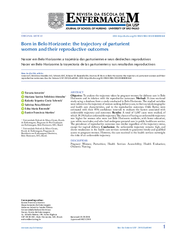 (PDF) Born in Belo Horizonte: the trajectory of parturient women and ...
