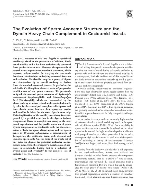 (PDF) The evolution of sperm axoneme structure and the dynein heavy ...