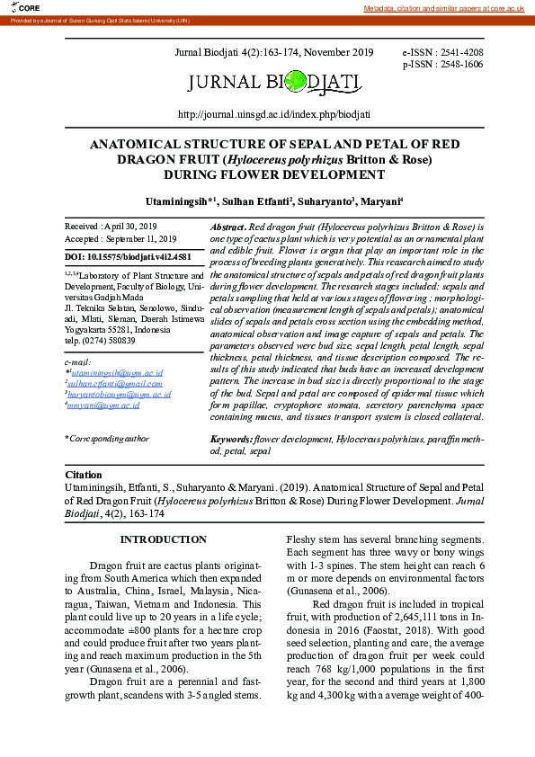 (PDF) Anatomical Structure of Sepal and Petal of Red Dragon Fruit (Hylocereus polyrhizus Britton ...