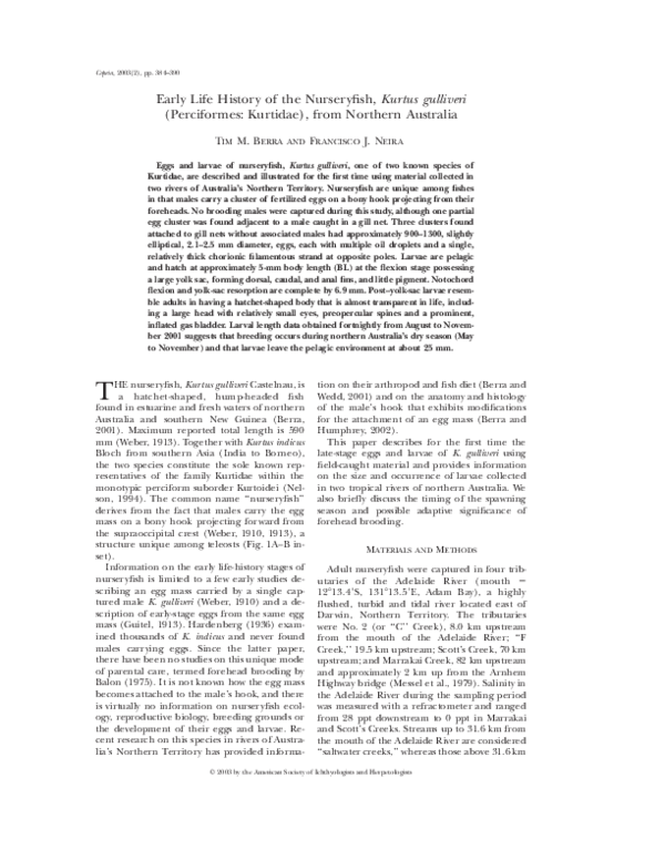 (PDF) Early Life History of the Nurseryfish, Kurtus gulliveri ...