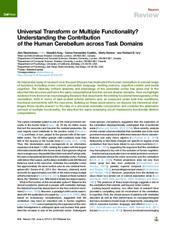 (PDF) Universal Transform or Multiple Functionality? Understanding the ...