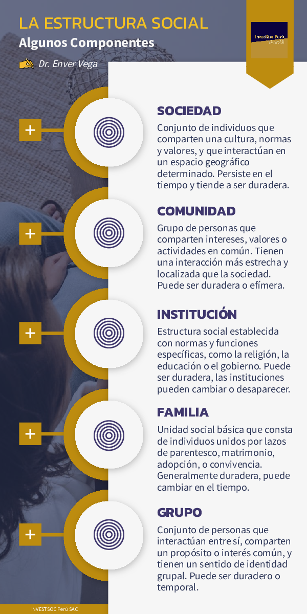 (PDF) Infografía. Componentes de la estructura social