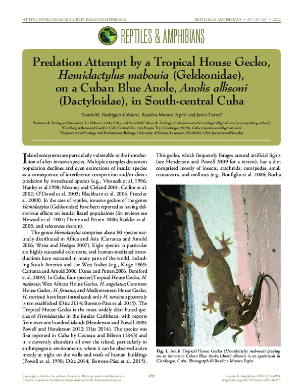 (PDF) Predation attempt by a Tropical House Gecko, Hemidactylus mabouia ...