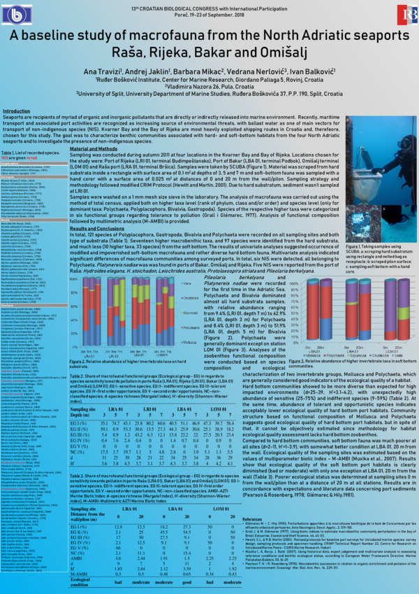 (PDF) A baseline study of macrofauna from the North Adriatic seaports ...
