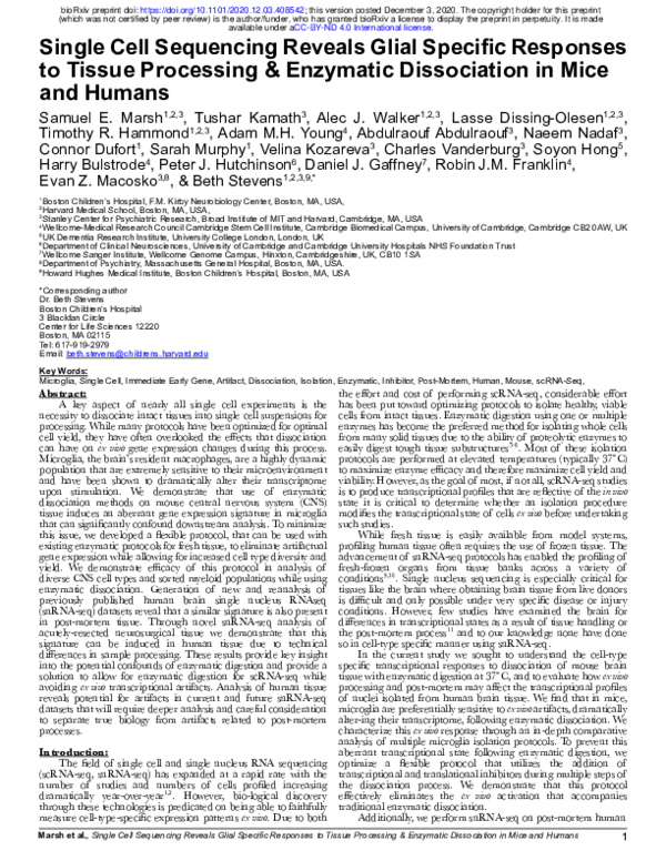 (PDF) Dissection of artifactual and confounding glial signatures by single-cell sequencing of ...