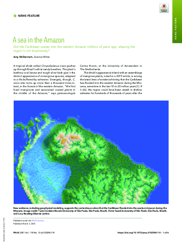 (PDF) A sea in the Amazon