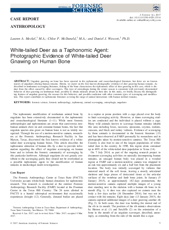 (PDF) White‐tailed Deer as a Taphonomic Agent: Photographic Evidence of ...
