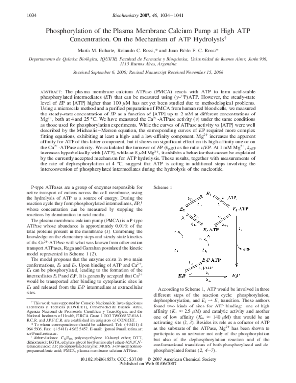 (PDF) Phosphorylation of the Plasma Membrane Calcium Pump at High ATP ...