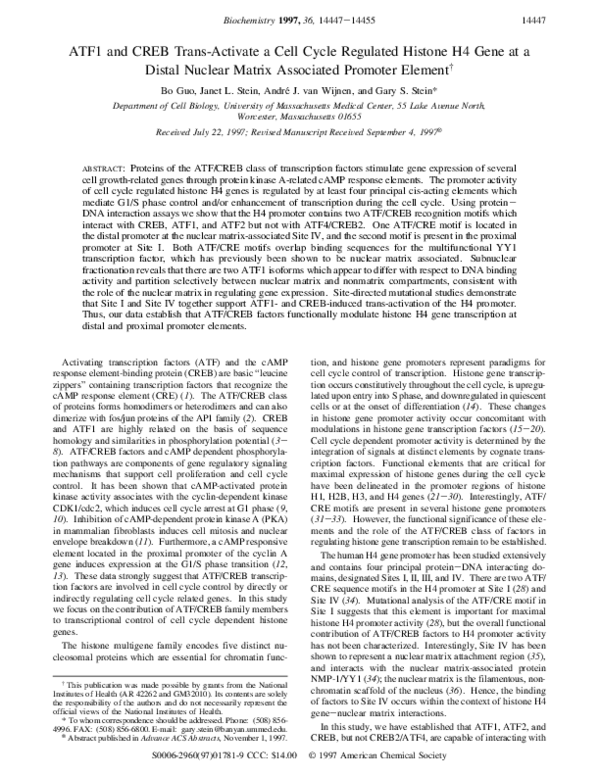 (PDF) ATF1 and CREB Trans-Activate a Cell Cycle Regulated Histone H4 ...