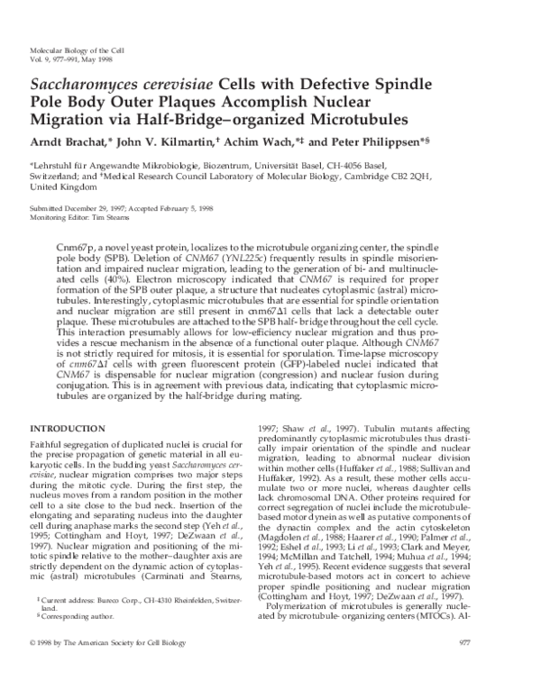 (PDF) Saccharomyces cerevisiae Cells with Defective Spindle Pole Body ...