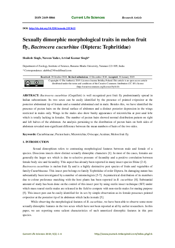 (PDF) Sexually dimorphic morphological traits in melon fruit fly ...
