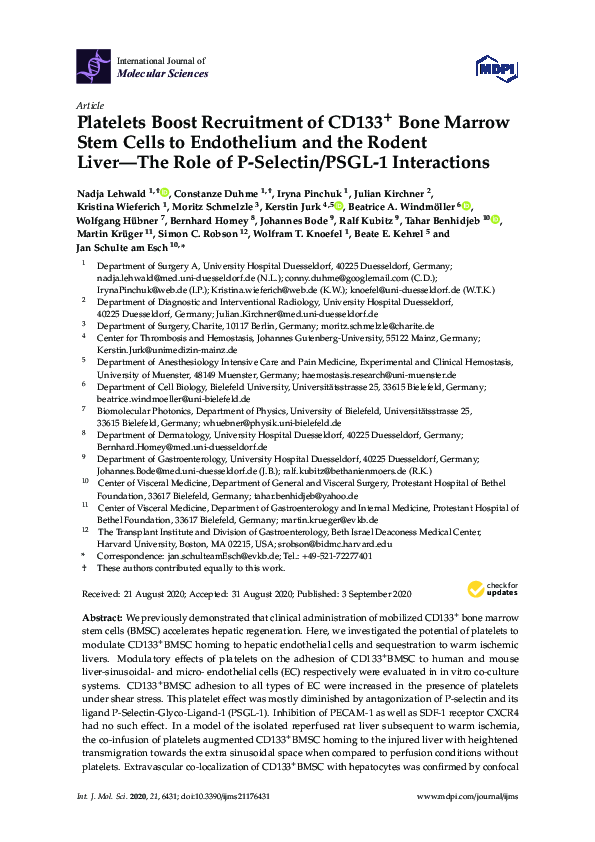 (PDF) Platelets Boost Recruitment of CD133+ Bone Marrow Stem Cells to ...