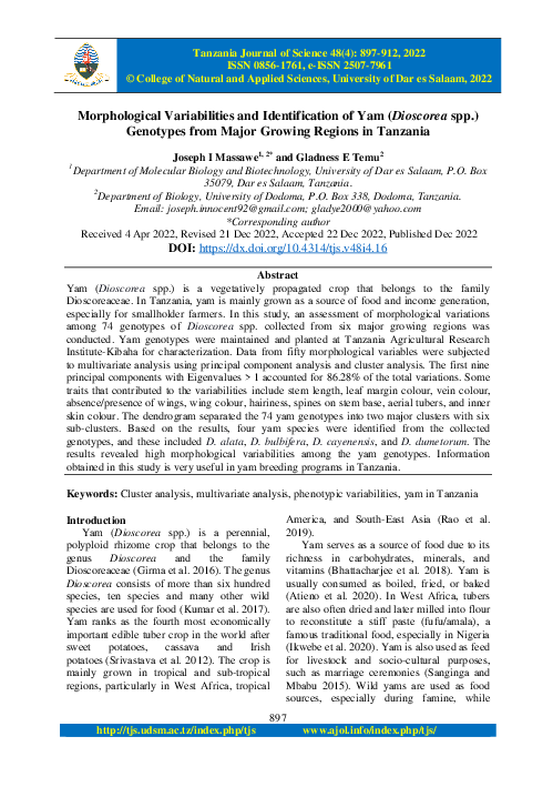 (PDF) Morphological Variabilities and Identification of Yam (Dioscorea ...