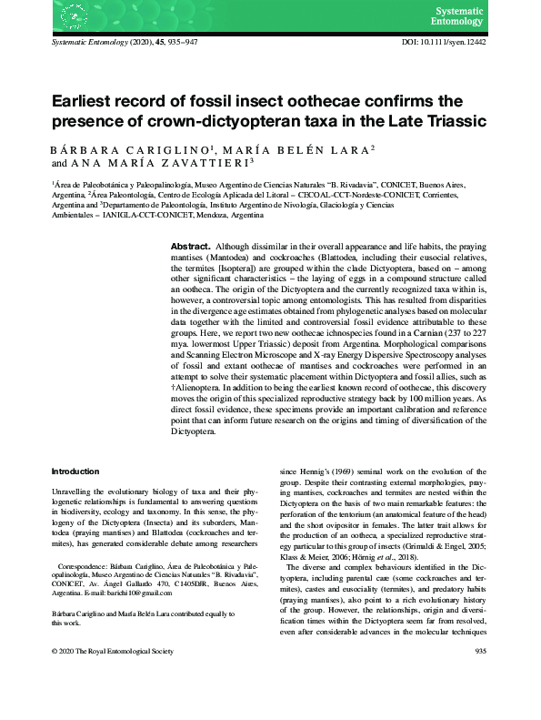 (PDF) Earliest record of fossil insect oothecae confirms the presence ...