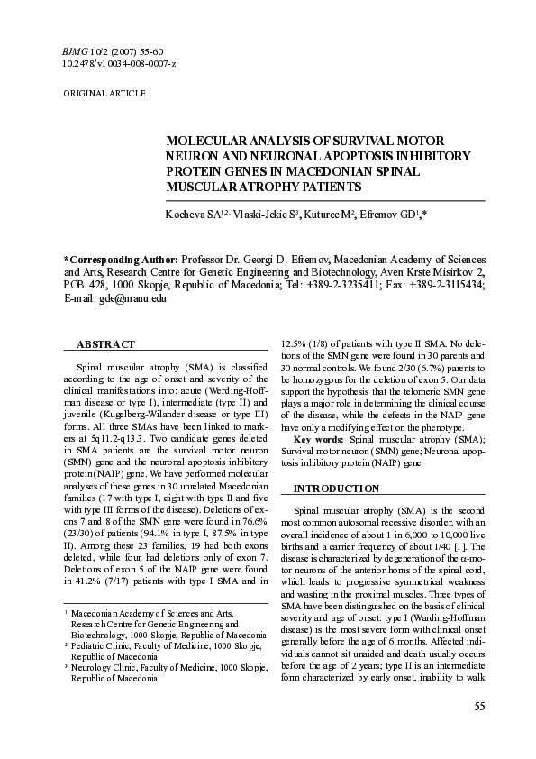 (PDF) Molecular Analysis of Survival Motor Neuron and Neuronal ...