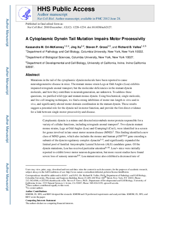 (PDF) A cytoplasmic dynein tail mutation impairs motor processivity