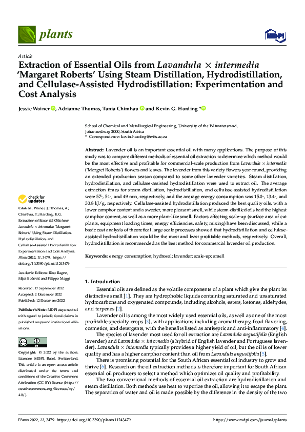 (PDF) Extraction of Essential Oils from Lavandula × intermedia ‘Margaret Roberts’ Using Steam ...