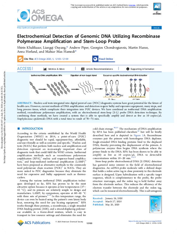 (PDF) Electrochemical Detection of Genomic DNA Utilizing Recombinase ...