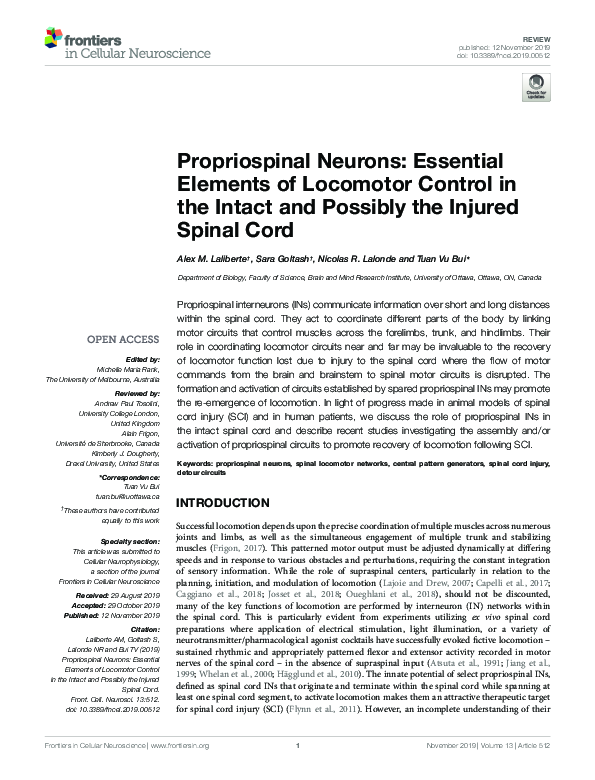 (PDF) Propriospinal Neurons: Essential Elements of Locomotor Control in ...