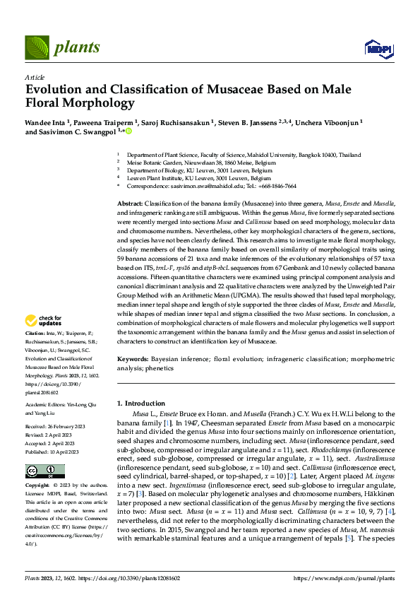(PDF) Evolution and Classification of Musaceae Based on Male Floral Morphology | saroj ...